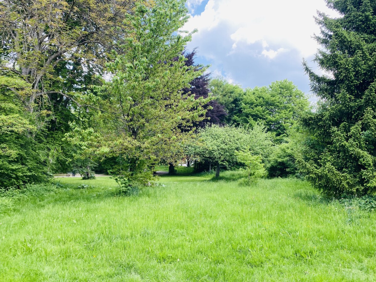 Statement zum städtebaulichen Planungskonzept als Grundlage für den ...